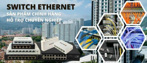 VNS - Thiết Bị Mạng Việt Nam